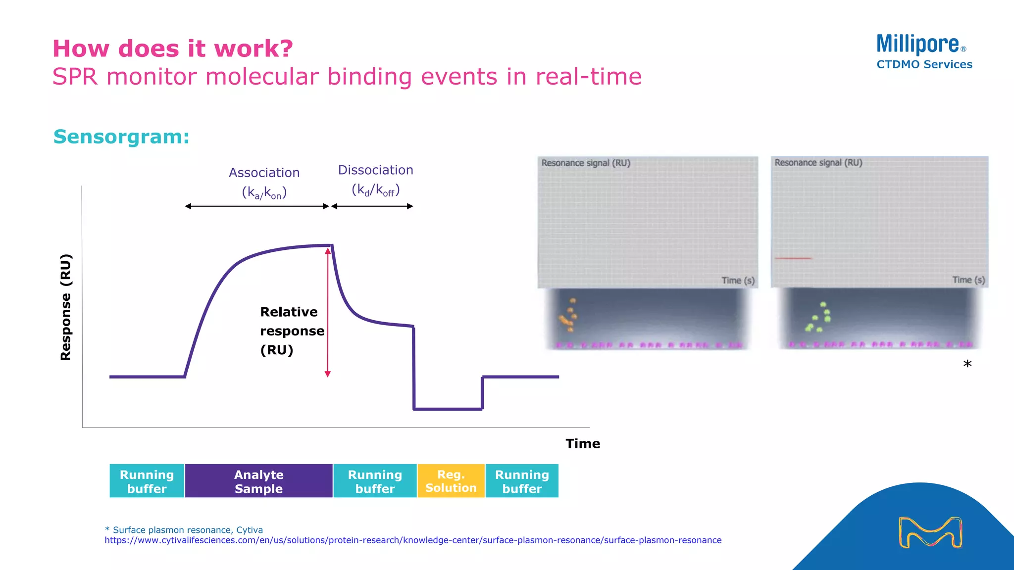 Characterization of monoclonal antibodies and Antibody drug conjugates ...