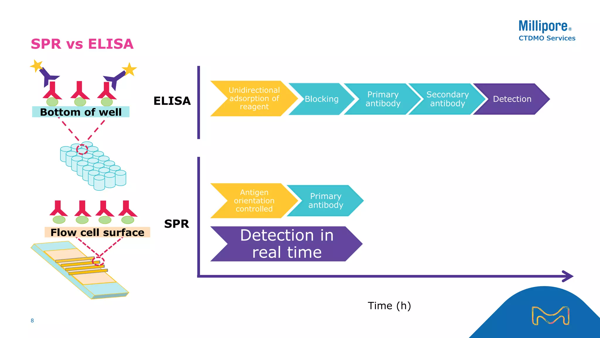 Characterization of monoclonal antibodies and Antibody drug conjugates ...