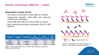 Characterization of monoclonal antibodies and Antibody drug conjugates ...