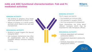 Characterization of monoclonal antibodies and Antibody drug conjugates ...