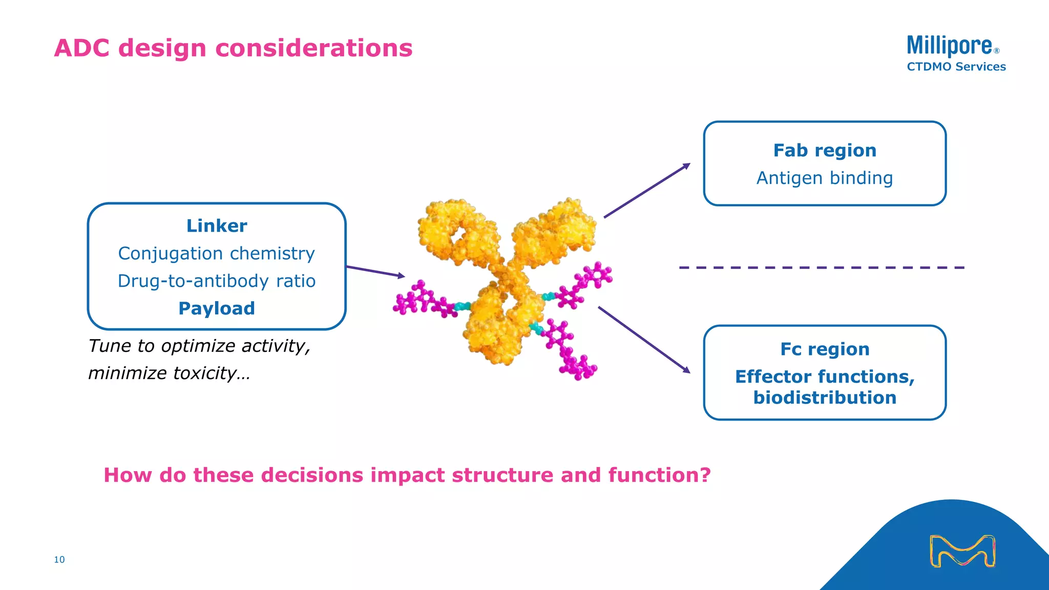 Characterization of monoclonal antibodies and Antibody drug conjugates ...