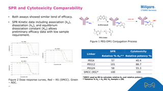 Characterization of monoclonal antibodies and Antibody drug conjugates ...