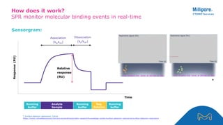 Characterization of monoclonal antibodies and Antibody drug conjugates ...