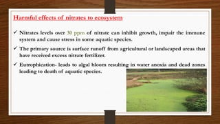 Nitrate pollution in surface and groundwater: Causes and ...
