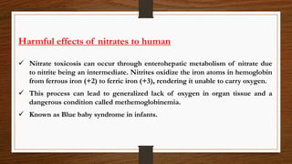 Nitrate pollution in surface and groundwater: Causes and ...