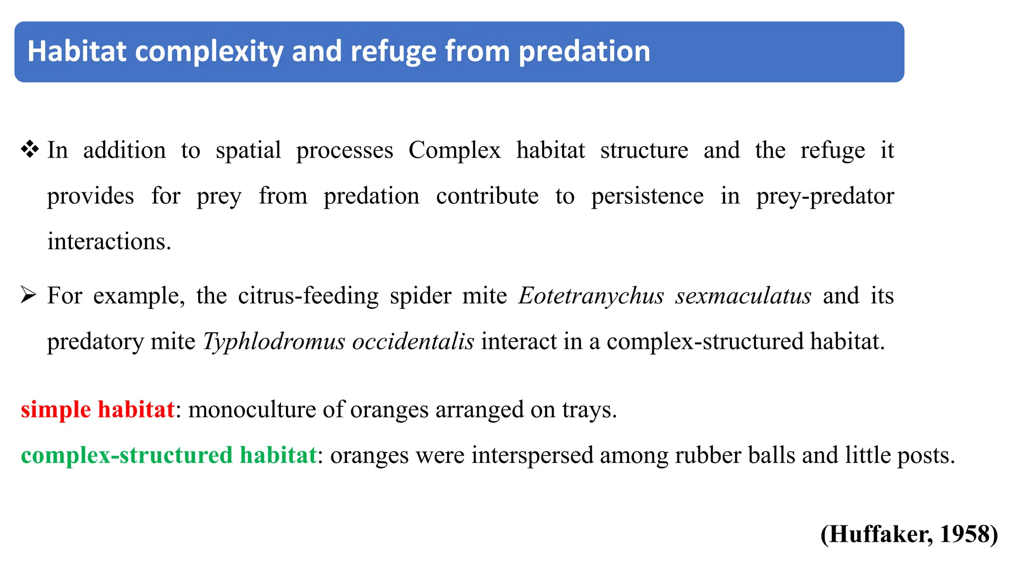 Prey Predator Interactions In Insects Pptx