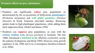 prey predator interactions in insects.pptx