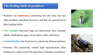 prey predator interactions in insects.pptx