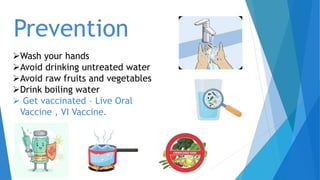 Typhoid Department of Physiotherapy, SHUATS, Prayagraj | PPTX