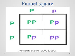 Genetics ( The Mendelian and Non-Mendelian) | PPT