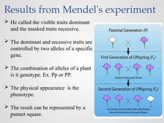 Genetics ( The Mendelian and Non-Mendelian) | PPT