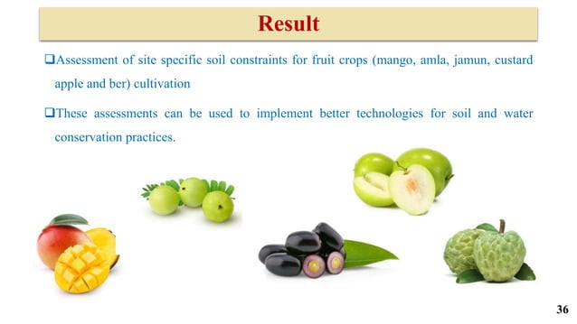 APPLICATION OF REMOTE SENSING IN FRUIT PRODUCTION.pptx