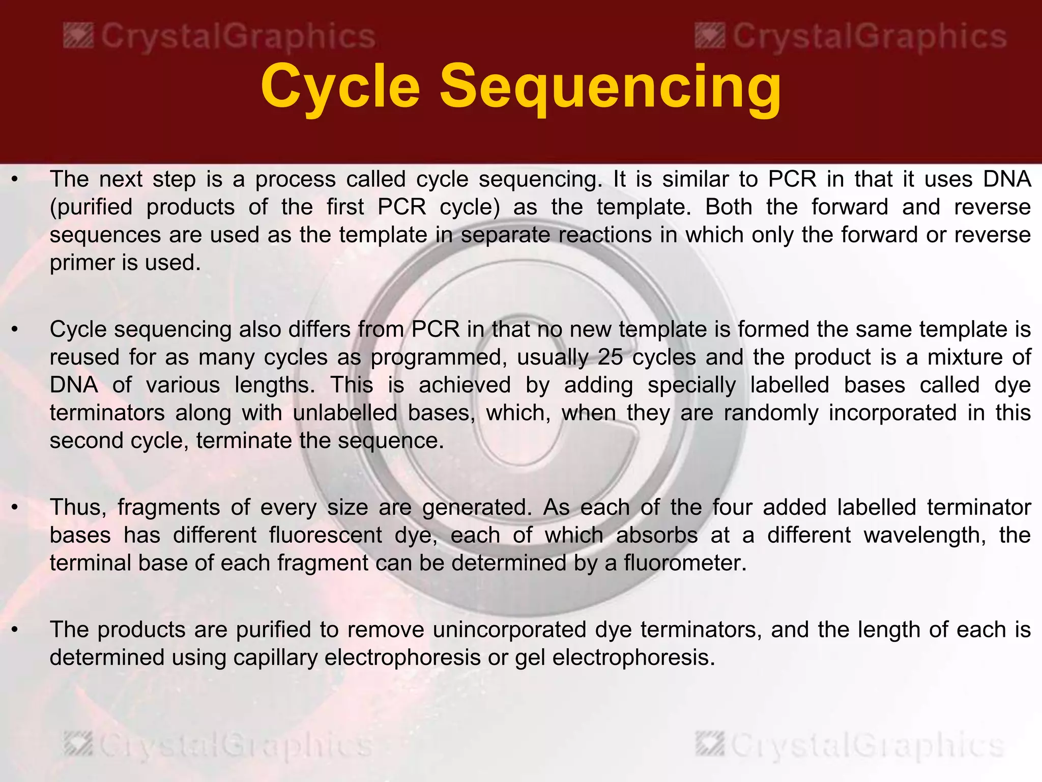 Bacterial Identification by 16s rRNA Sequencing.ppt | Biological ...