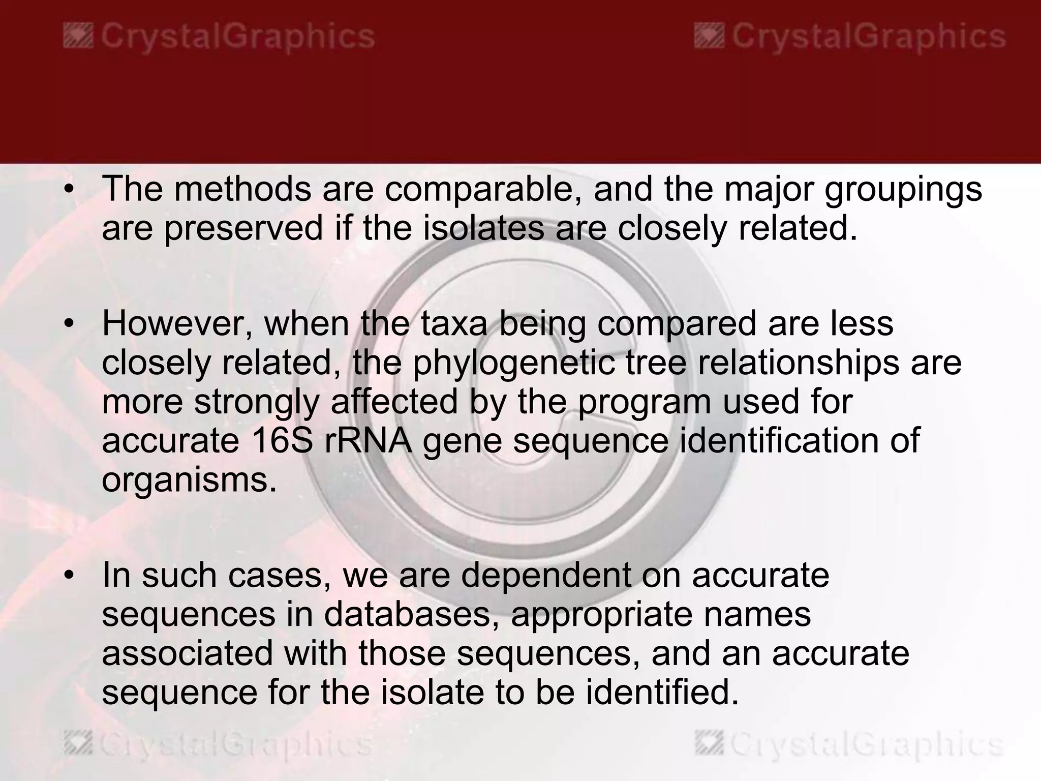Bacterial Identification by 16s rRNA Sequencing.ppt