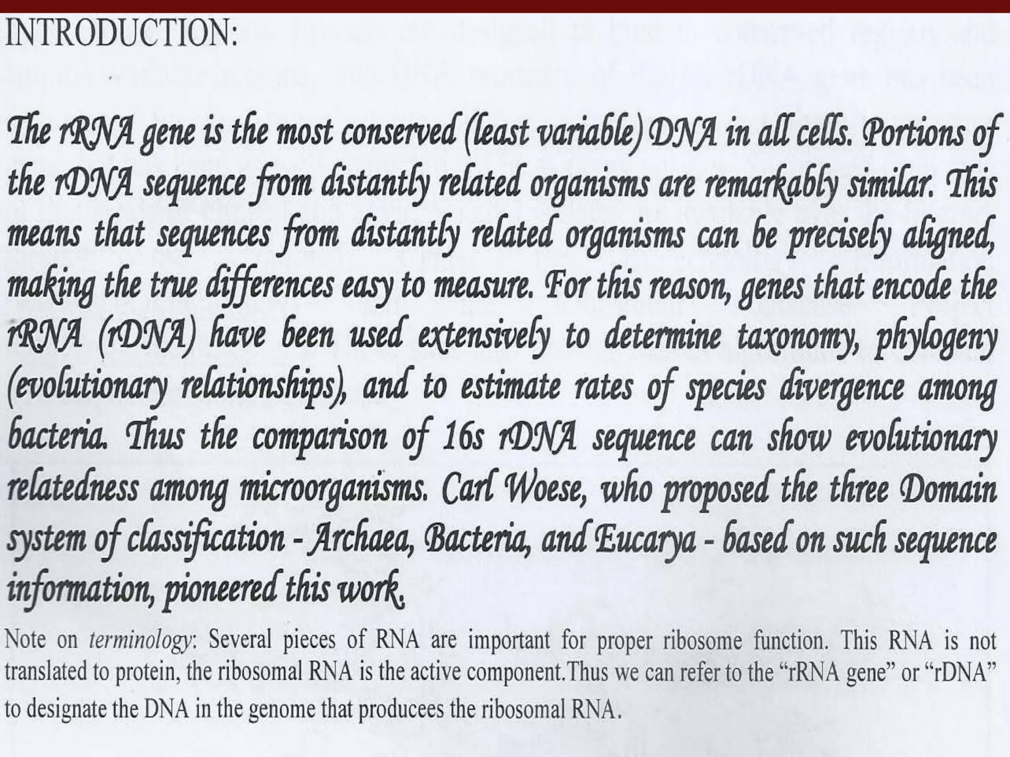 Bacterial Identification by 16s rRNA Sequencing.ppt | Biological ...