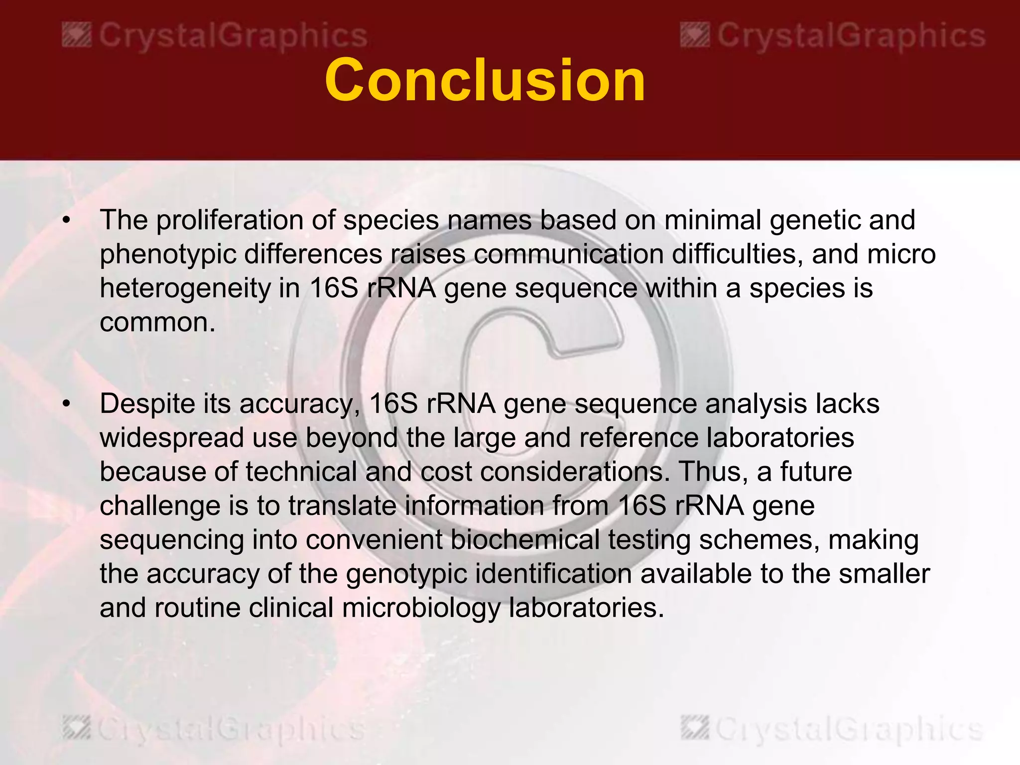 Bacterial Identification by 16s rRNA Sequencing.ppt | Biological ...