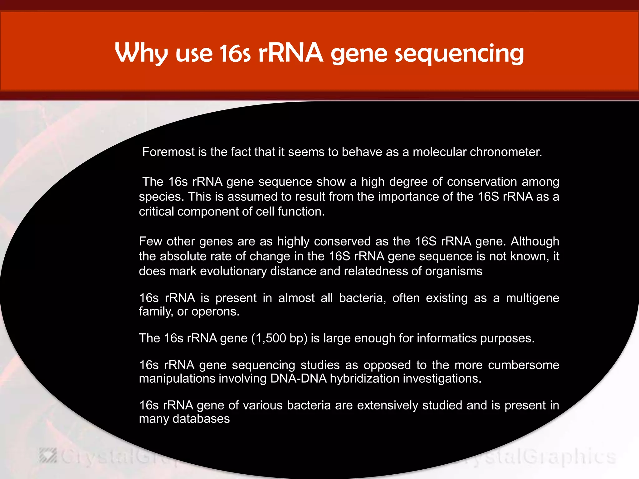 Bacterial Identification by 16s rRNA Sequencing.ppt