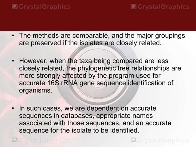 Bacterial Identification by 16s rRNA Sequencing.ppt | Biological Sciences | Science