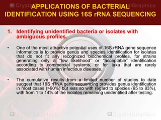 Bacterial Identification by 16s rRNA Sequencing.ppt