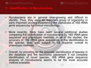 Bacterial Identification by 16s rRNA Sequencing.ppt