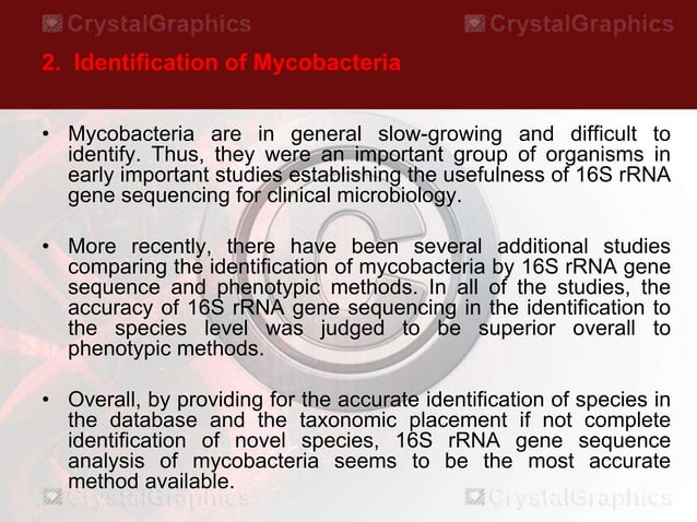 Bacterial Identification by 16s rRNA Sequencing.ppt | Biological Sciences | Science
