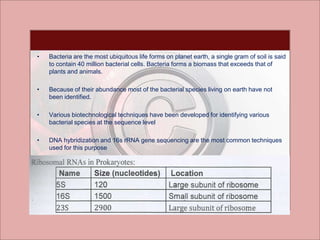Bacterial Identification by 16s rRNA Sequencing.ppt
