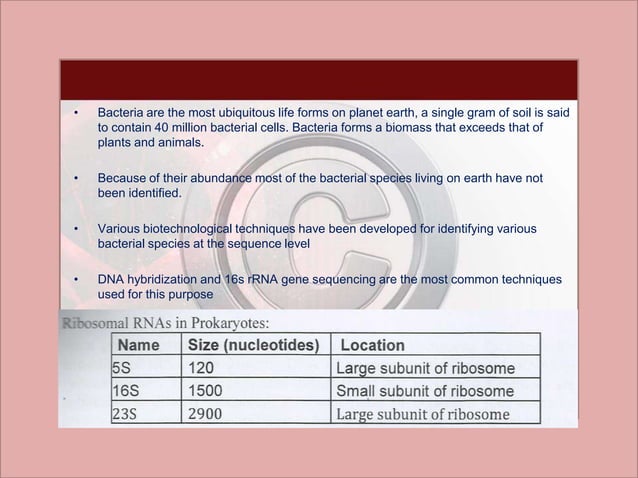 Bacterial Identification by 16s rRNA Sequencing.ppt | Biological Sciences | Science