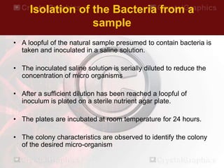 Bacterial Identification by 16s rRNA Sequencing.ppt