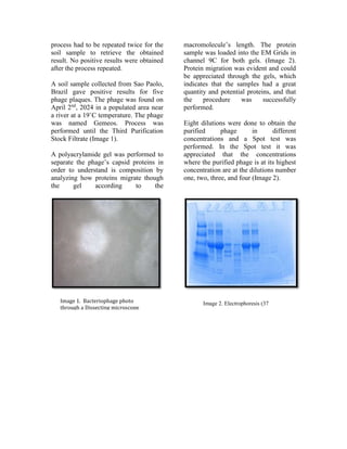 Final Bacteriophages | DOC