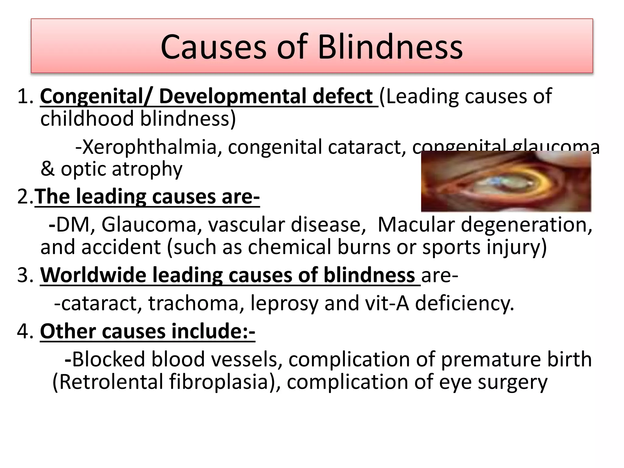 Blindness | PPTX