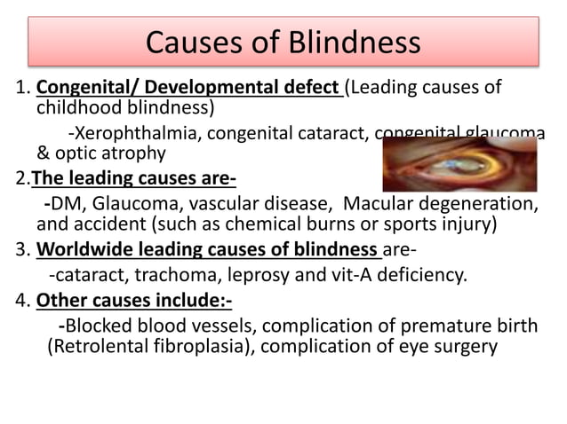 Blindness | PPTX