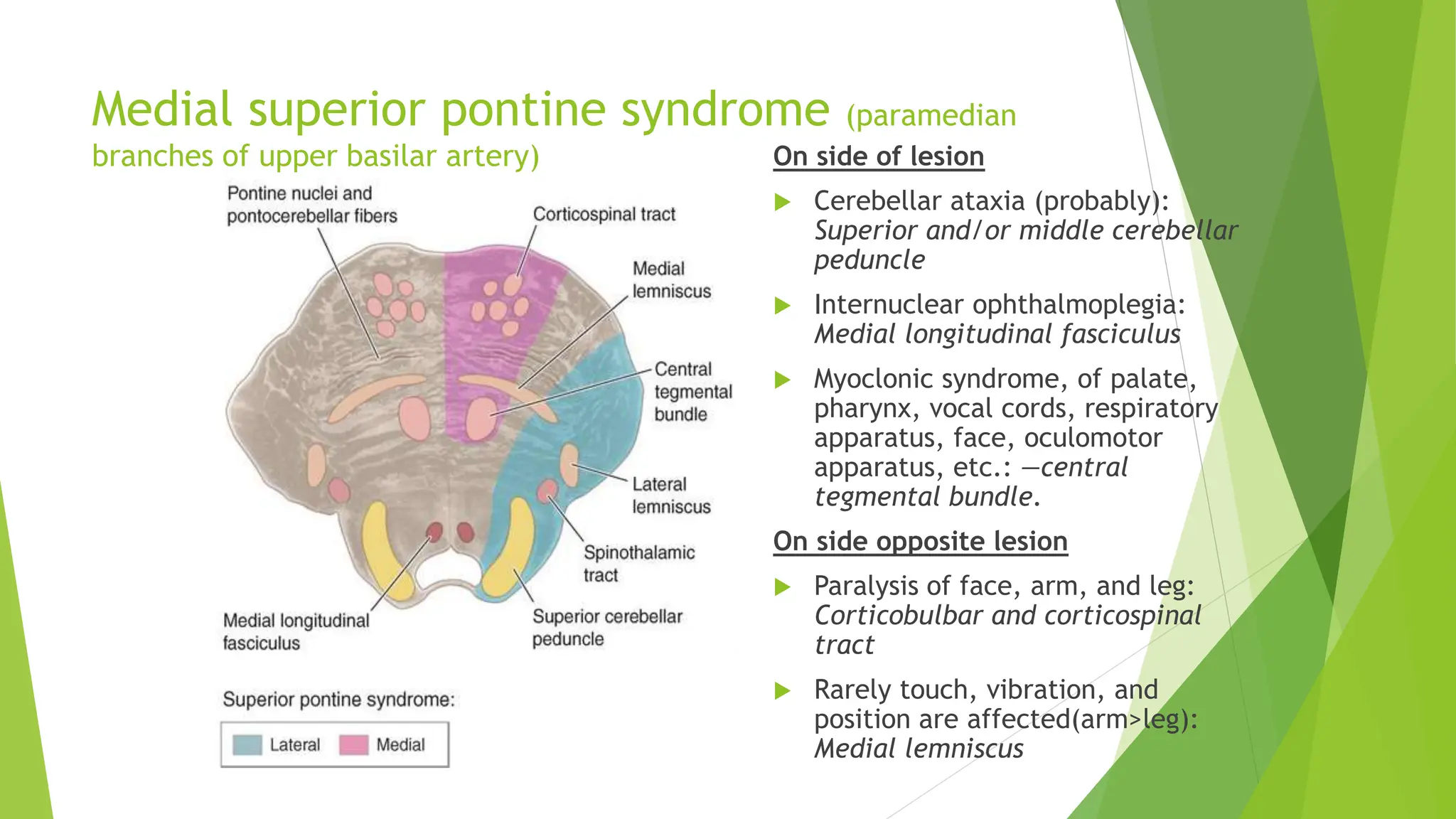 Final-Brainstem Syndromes and multiple Cranial nerve palsies.pptx
