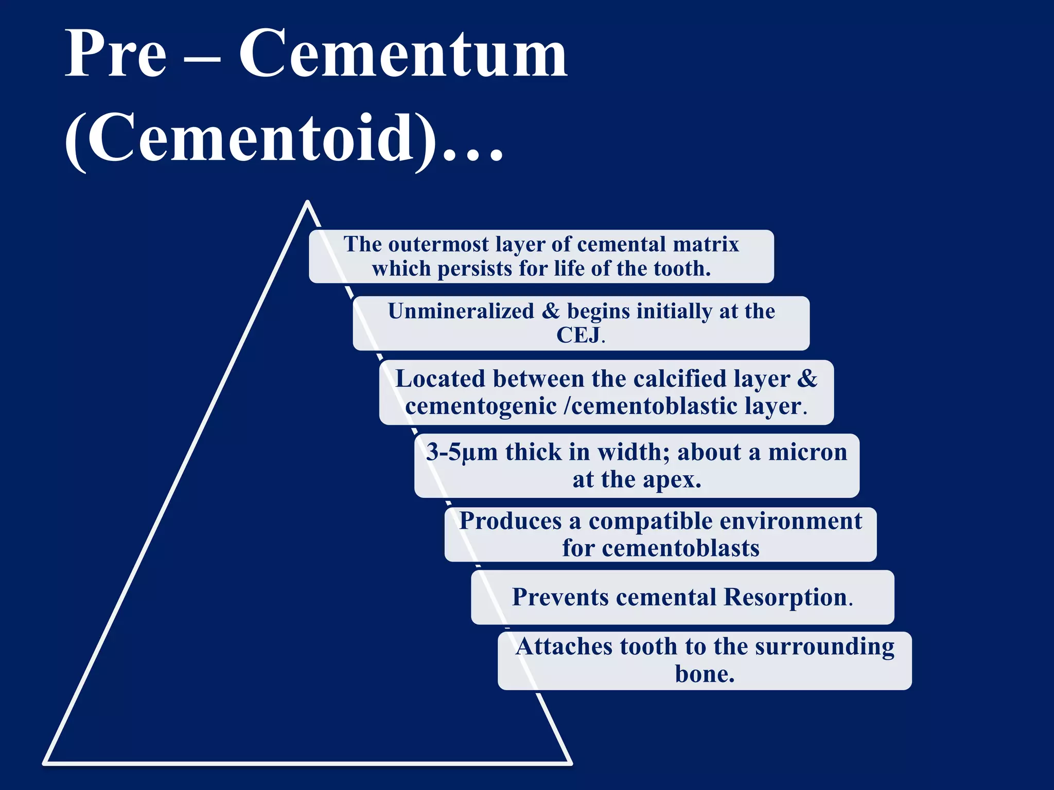 Final - Cementum - Basics and Applied Aspects (Dr. Sabitha Sudarsan)1.pptx
