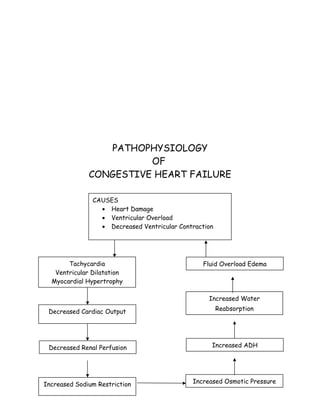 Congestive Heart Failure Pathophysiology