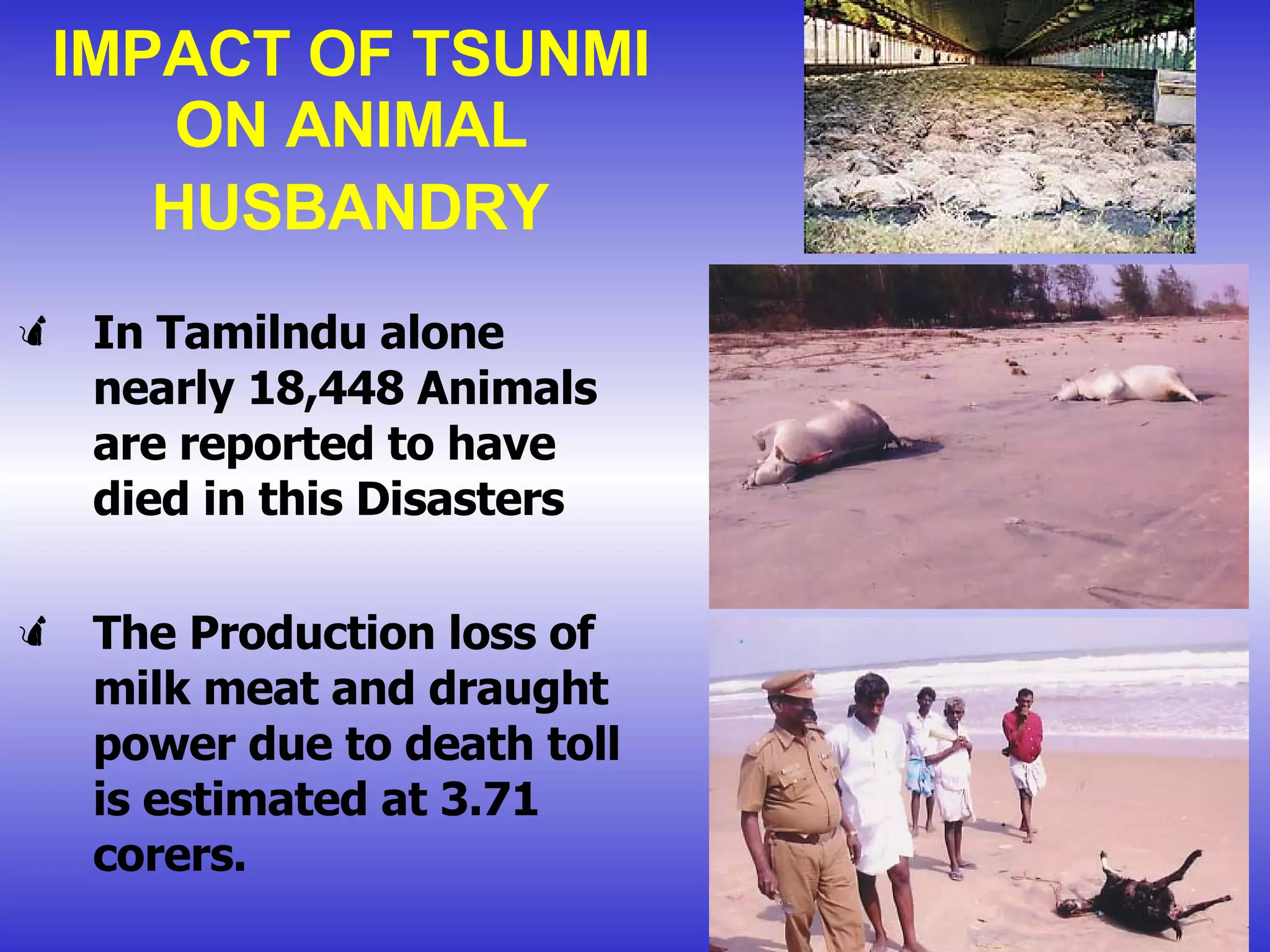 Final Disaster | PPS