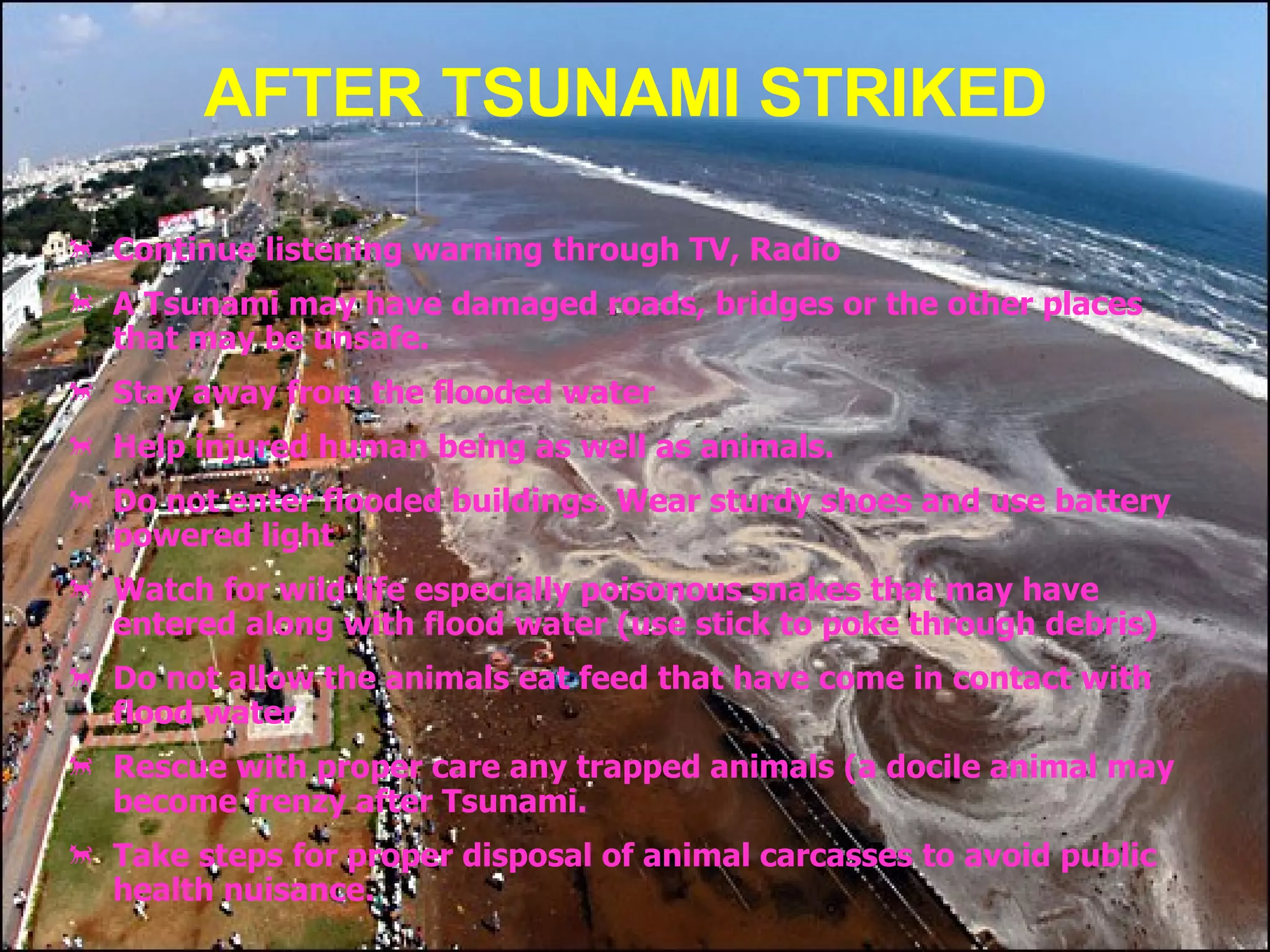 Final Disaster | PPS