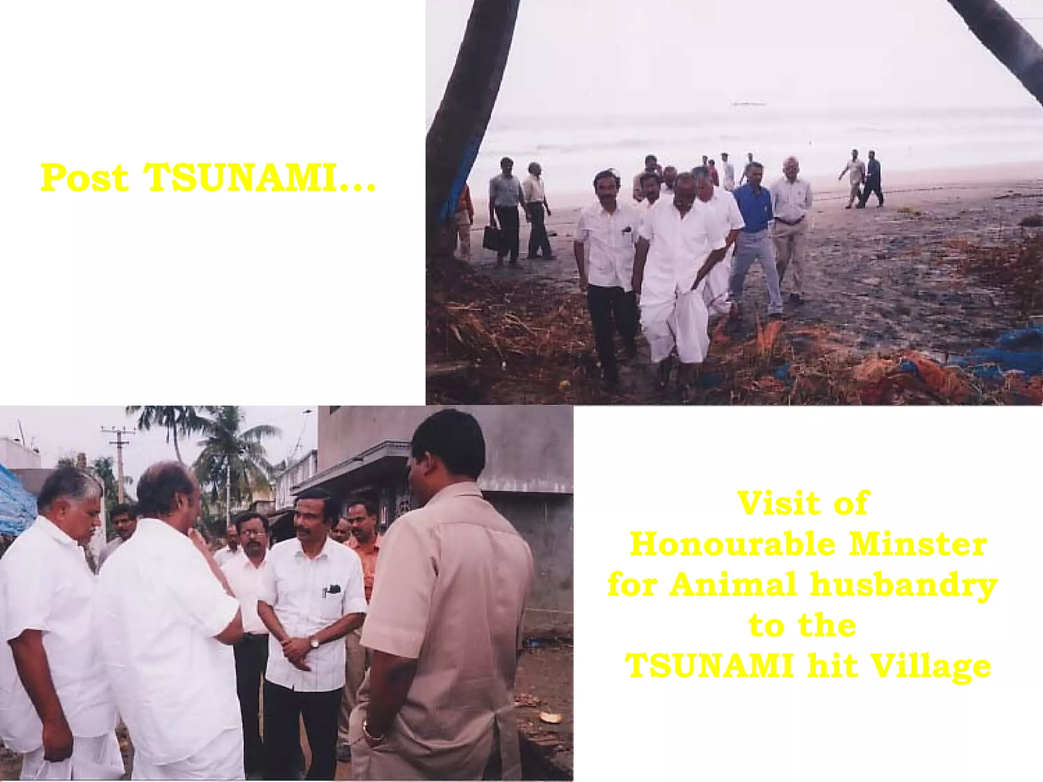 Final Disaster | PPS