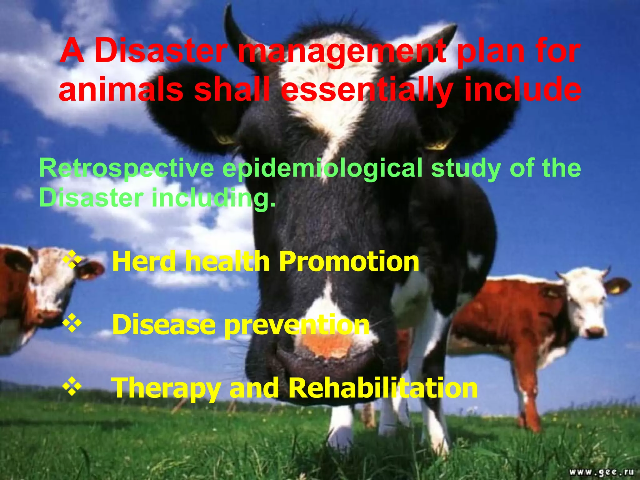 Final Disaster | PPS