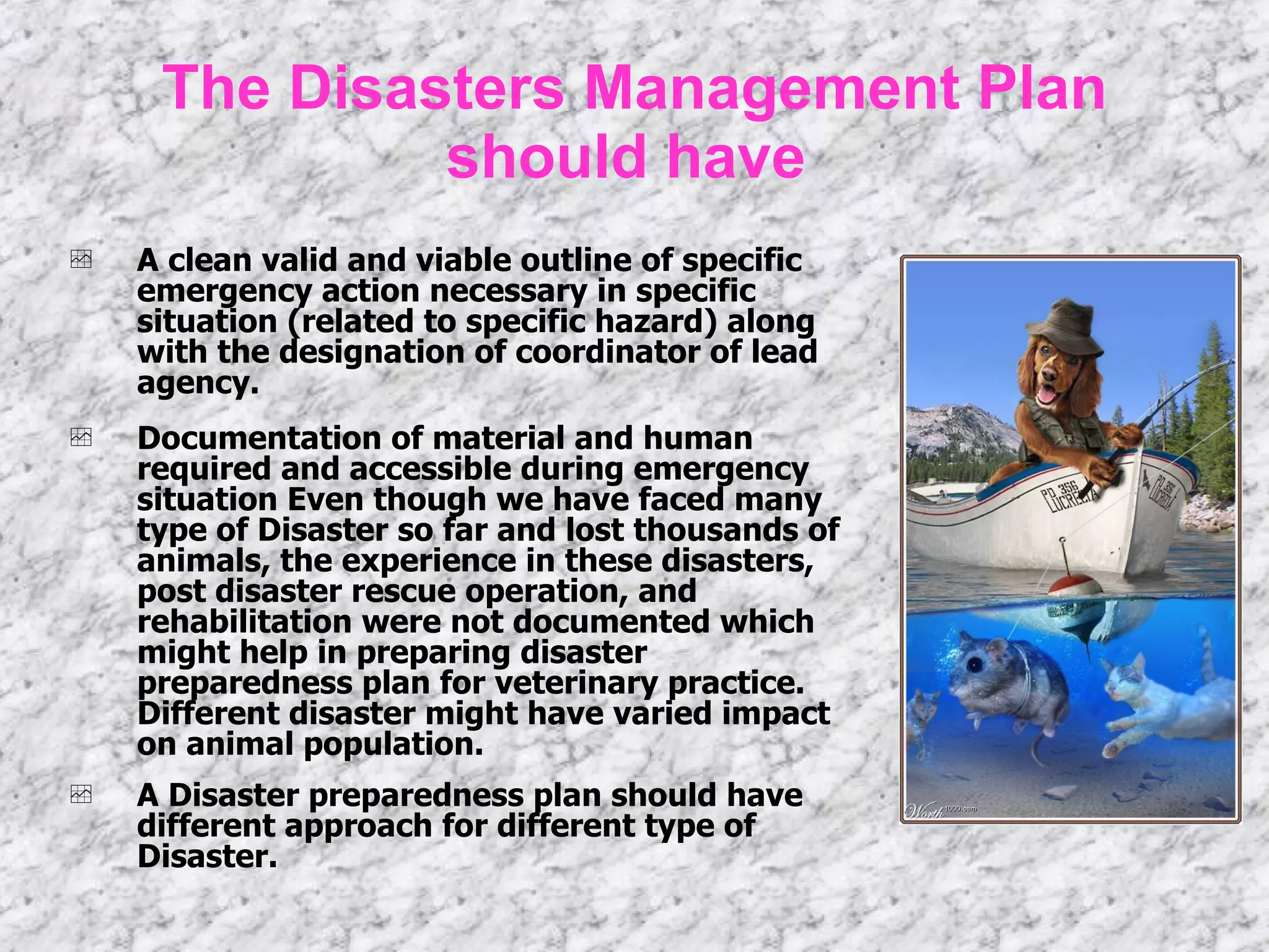 Final Disaster | PPS