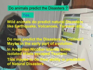 Final Disaster | PPS