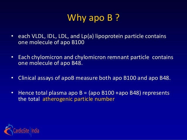 Is measuring apo B and Lp (a) of value