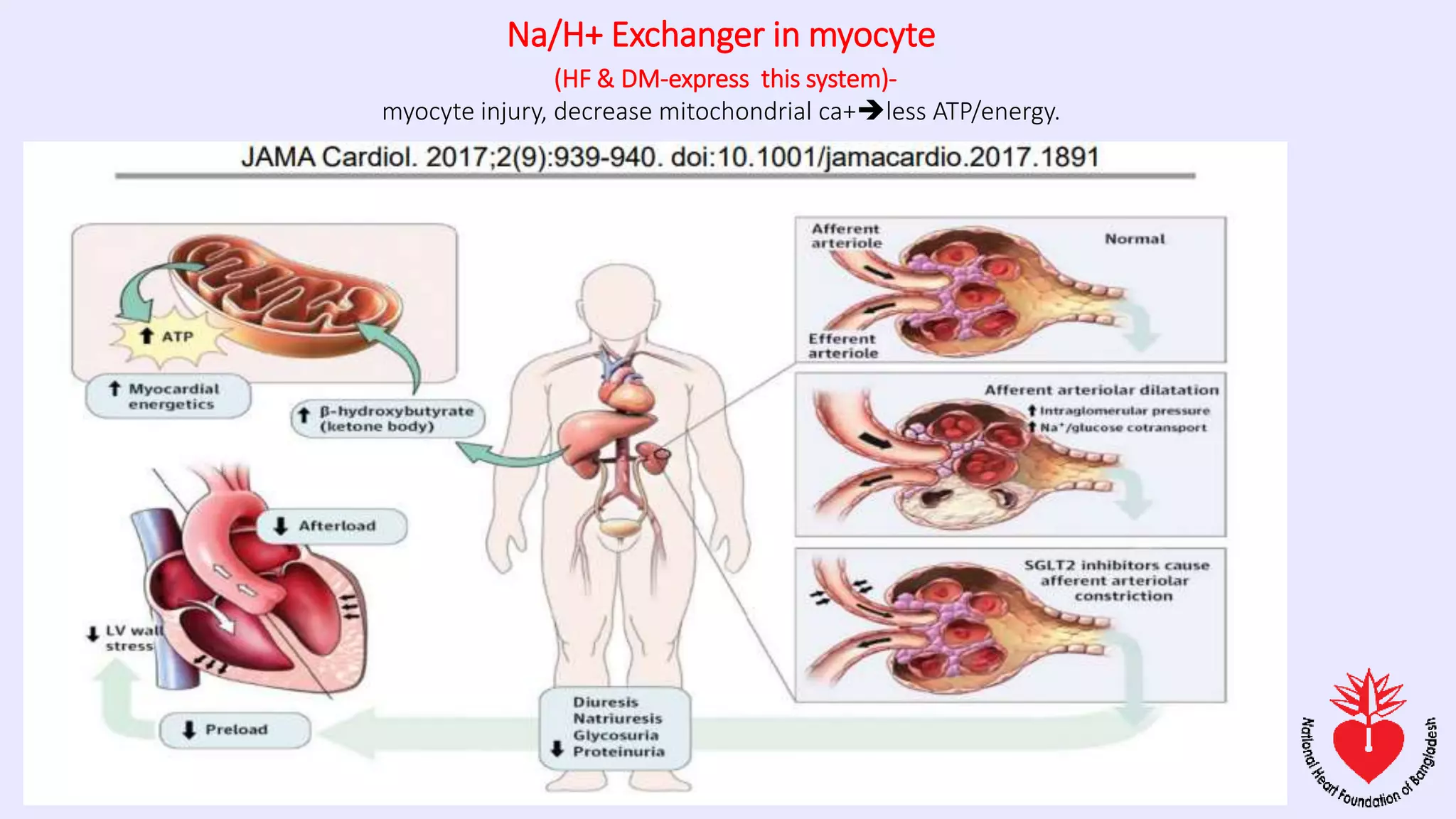 Heart Failure(HFrEF) management- an Overview | PPTX