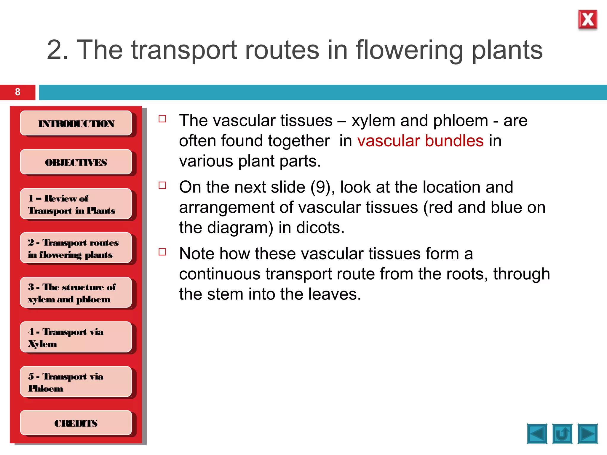 Integrated Science M2 Transport in plants | PPT