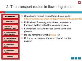 Integrated Science M2 Transport in plants | PPT