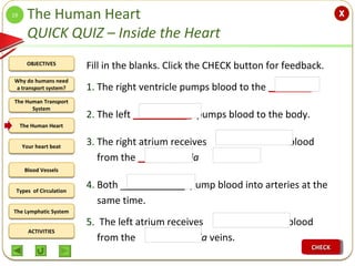 Integrated Science M2 The Human Circulatory System | PPT
