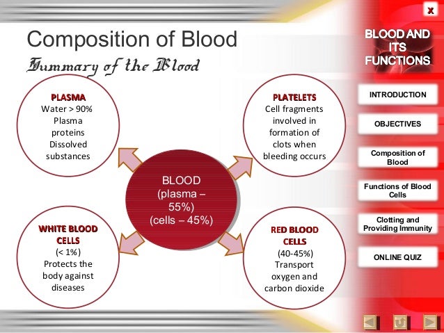 Types Of Blood Cells And Their Functions