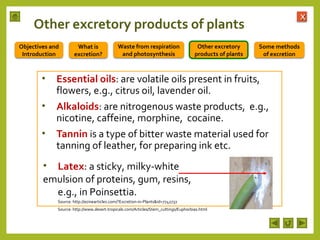 Integrated Science M2 Excretion in plants | PPT