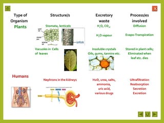Integrated Science M2 Excretion in plants | PPT