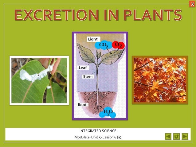 Integrated Science M2 Excretion in plants