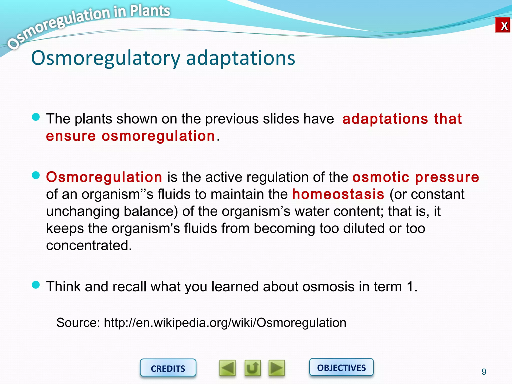 Integrated Science M2 Osmoregulation in Plants | PPT